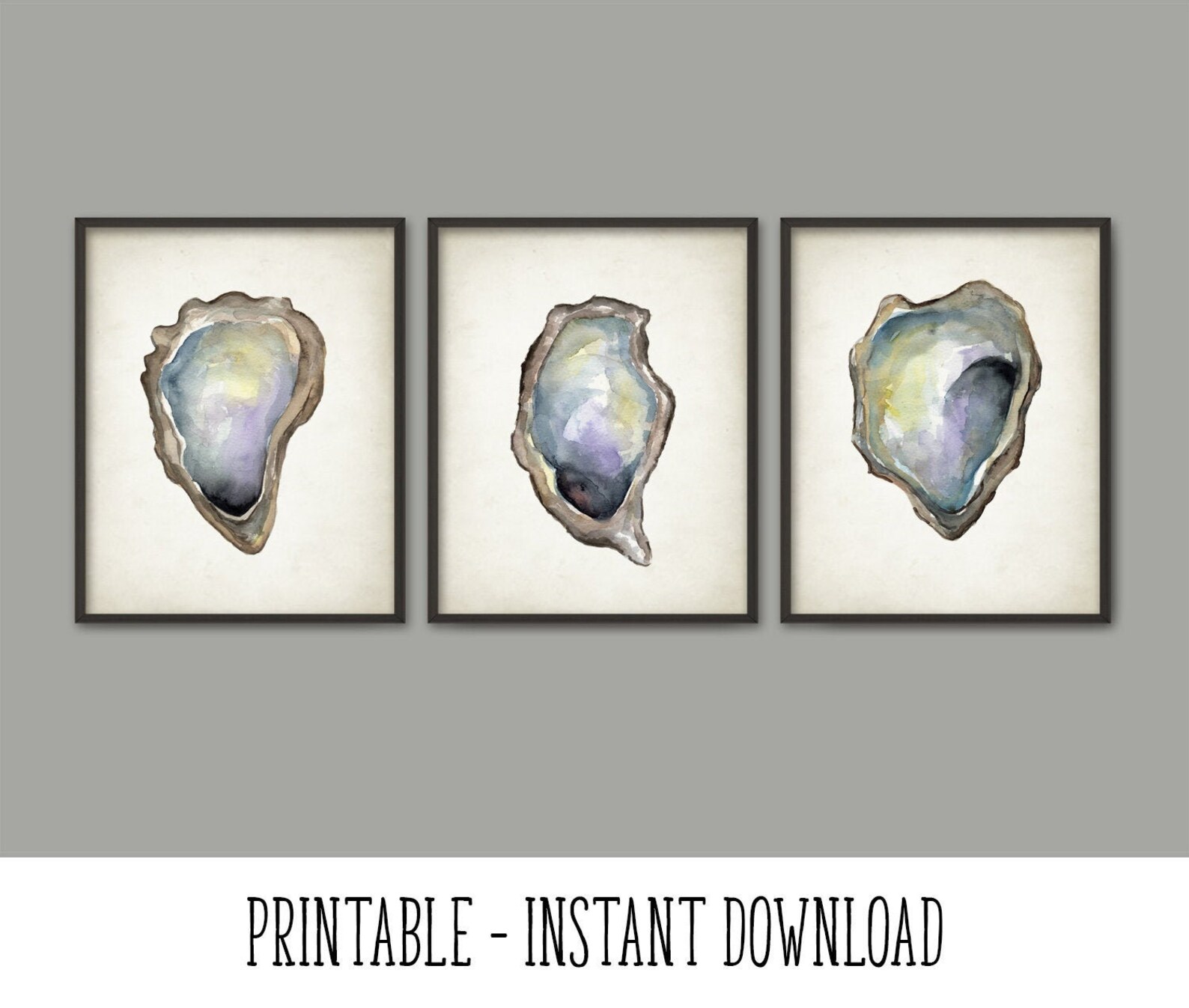 PRINTABLE Oyster Art Print Set of 3 Watercolor Oyster Shell - Etsy
