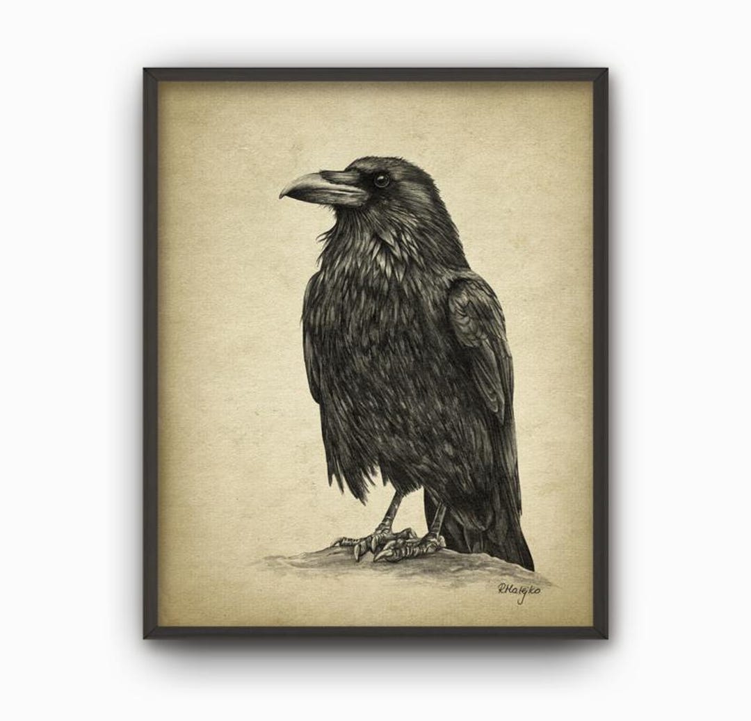 Raven Print, Crow Pencil Drawing, Rustic Bird Decor, Gothic Wall Art ...