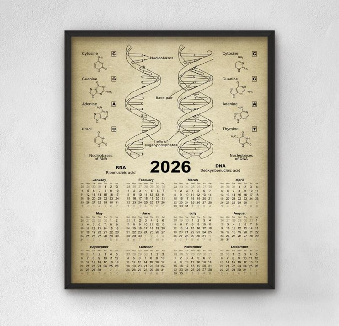 DNA & RNA Calendar 2026, Biochemistry Poster, Biology Genetics Wall Art ...