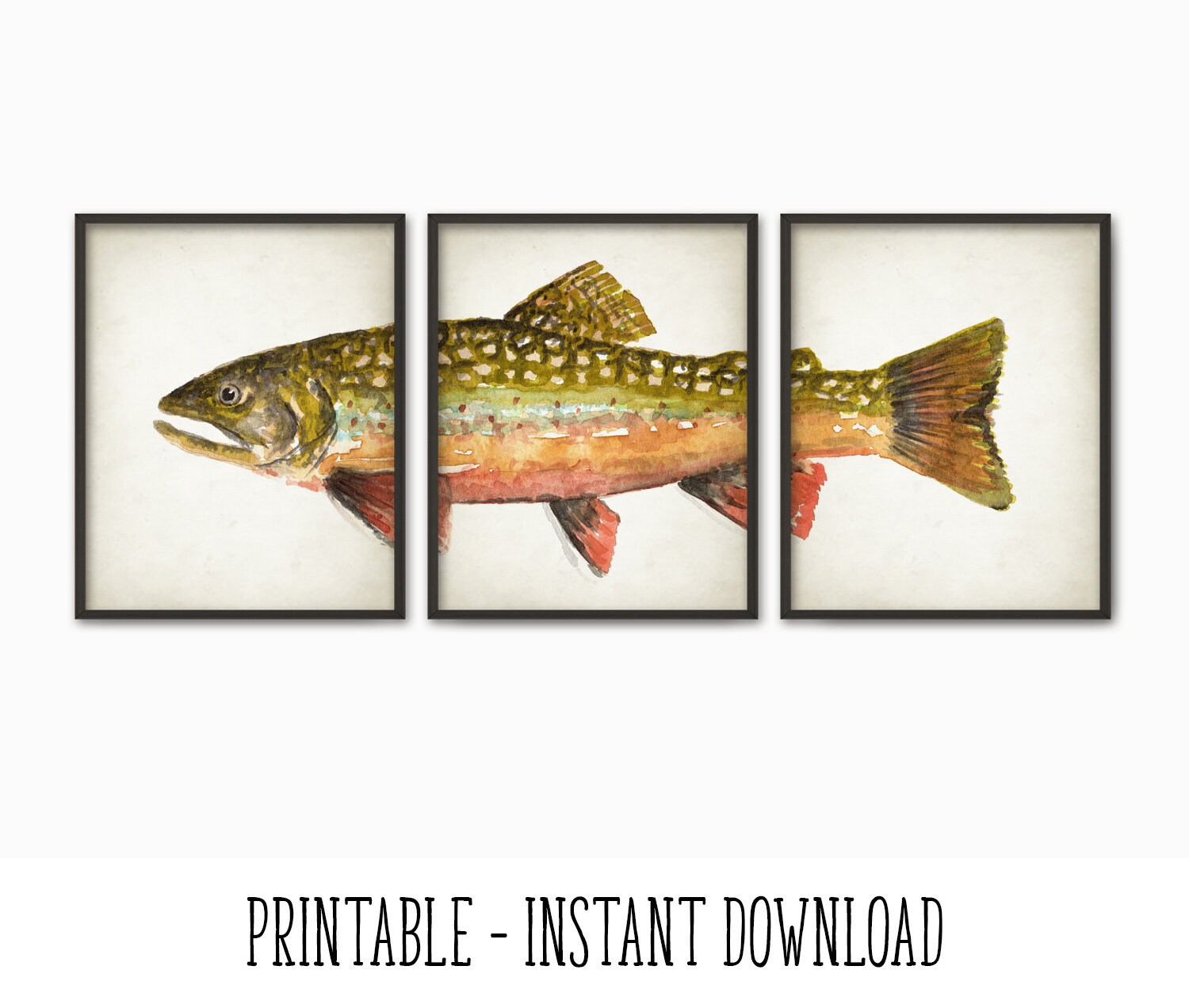 PRINTABLE Brook Trout Watercolor Print Set of 3 North - Etsy UK