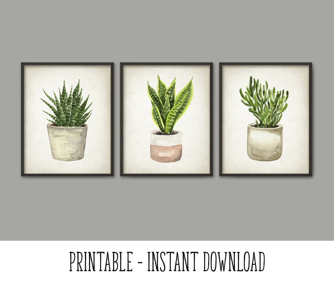 PRINTABLE Watercolor Succulent Art Print Set of 3, Succulent Painting ...