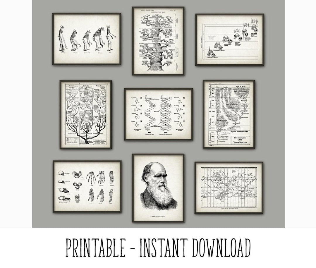 PRINTABLE Evolution Wall Art Print Set of 9, Biology Wall Art, Charles ...