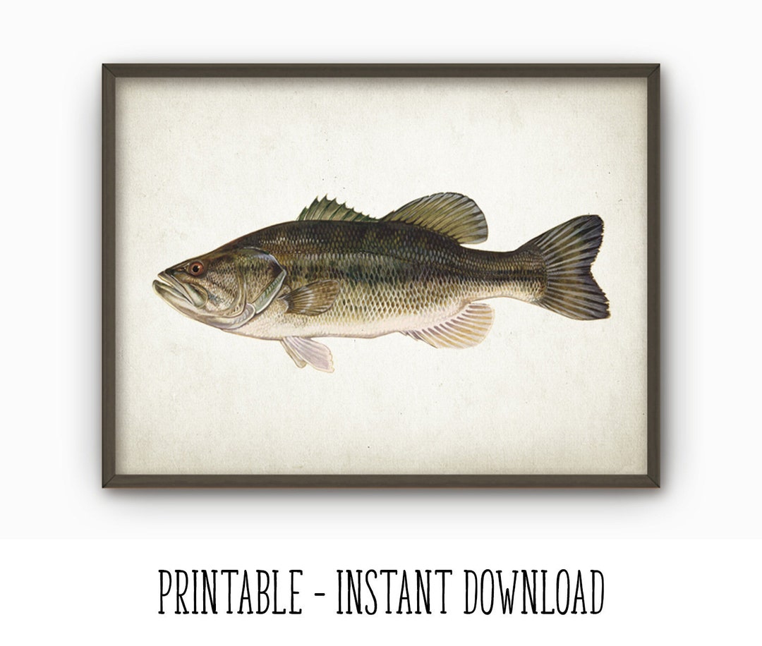PRINTABLE Largemouth Bass Fish Print Wall Art, Freshwater Fish Gamefish ...