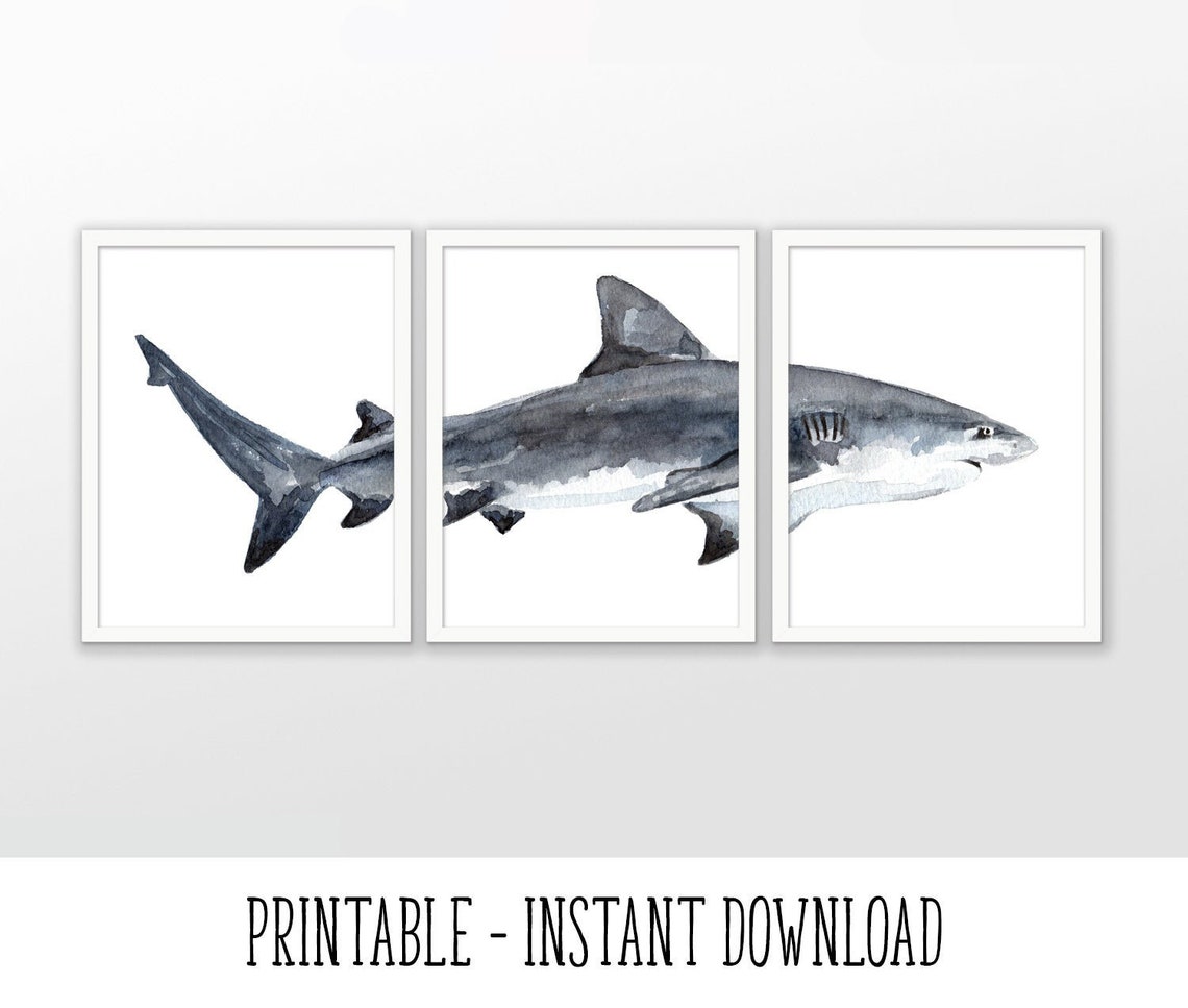 PRINTABLE Bull Shark Watercolor Art Poster Set of 3 Bull - Etsy UK
