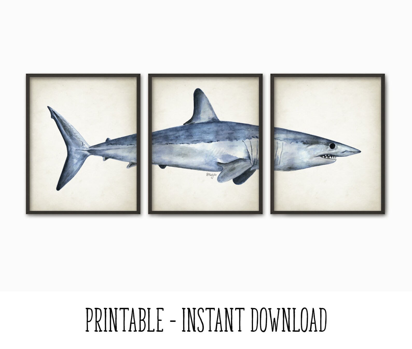 PRINTABLE Mako Shark Watercolor Art Poster Set of 3 Mako - Etsy