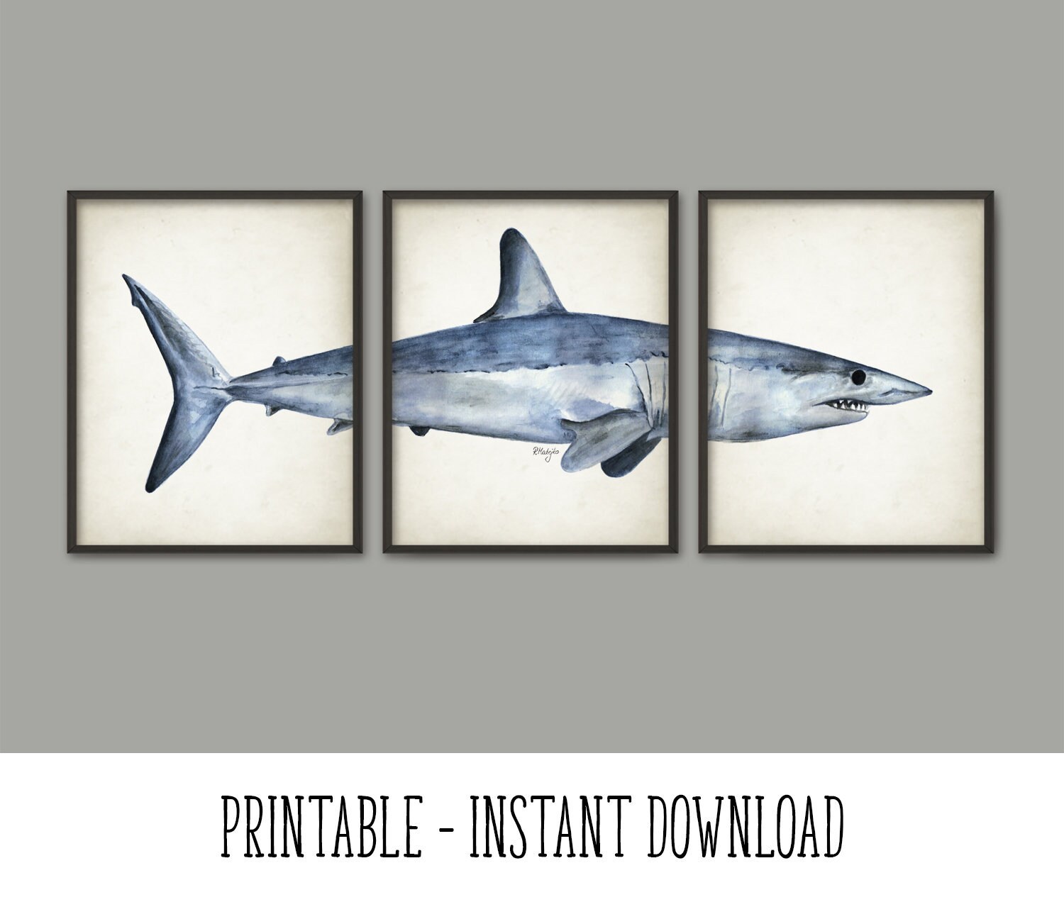 PRINTABLE Mako Shark Watercolor Art Poster Set Of 3 Mako | Etsy