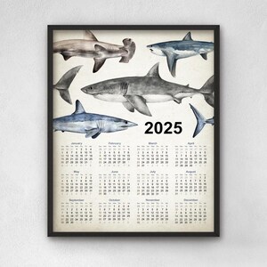 Shark Calendar 2025, Sharks of the World Watercolor Wall Art, Great ...