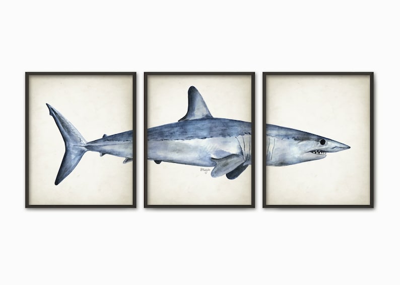 Mako Shark Watercolor Art Poster Set of 3 - Shark Art Print - Mako ...