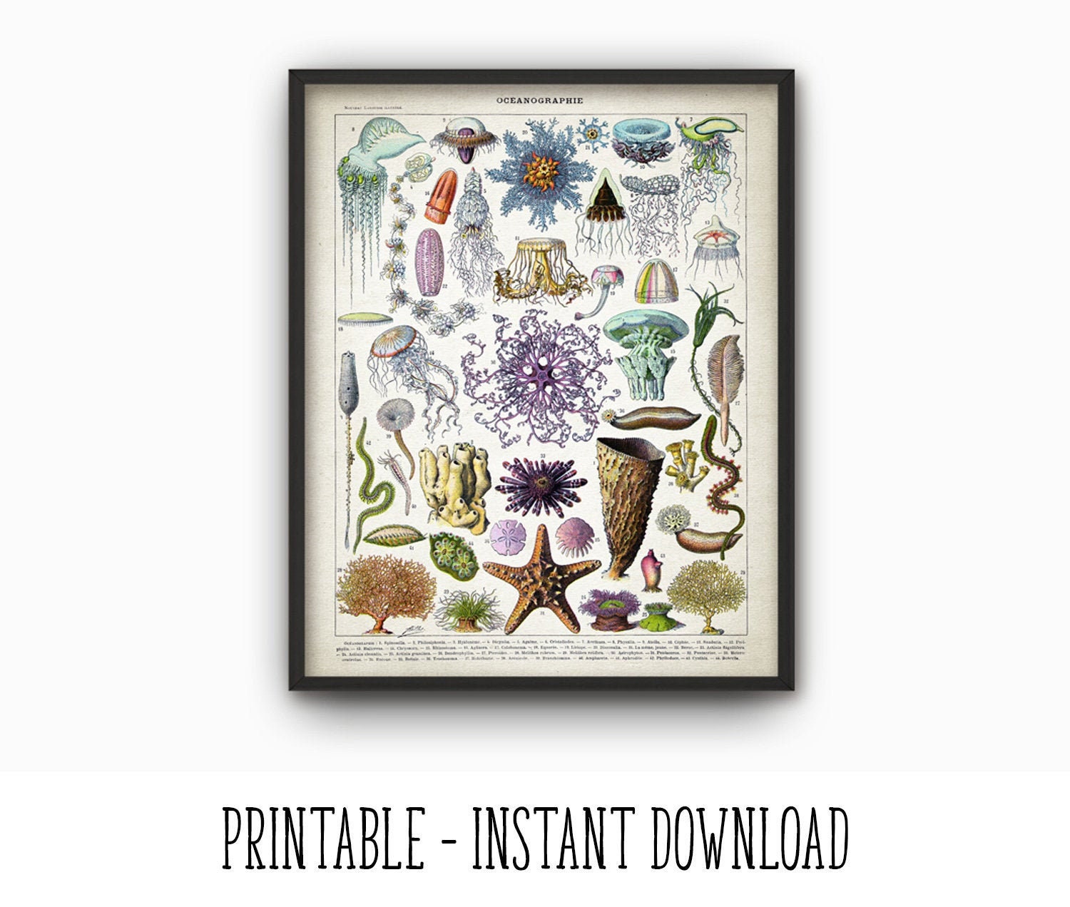 PRINTABLE Oceanography Print Bathroom Poster Vintage | Etsy