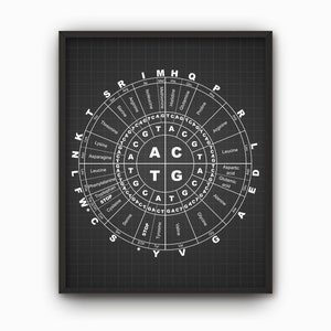 Genetic Code Print, Amino Acids Proteins DNA RNA Base Pairs, Molecular ...