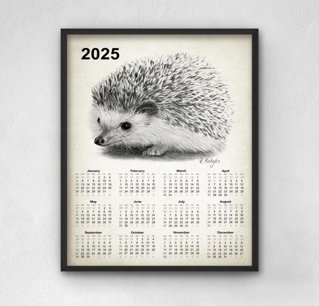 Hedgehog Calendar 2025, Cute Woodland Animal Art Print From an Original ...