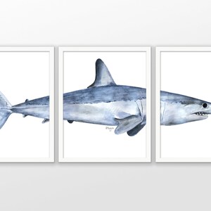 PRINTABLE Mako Shark Watercolor Art Poster Set of 3, Mako Shark Art ...