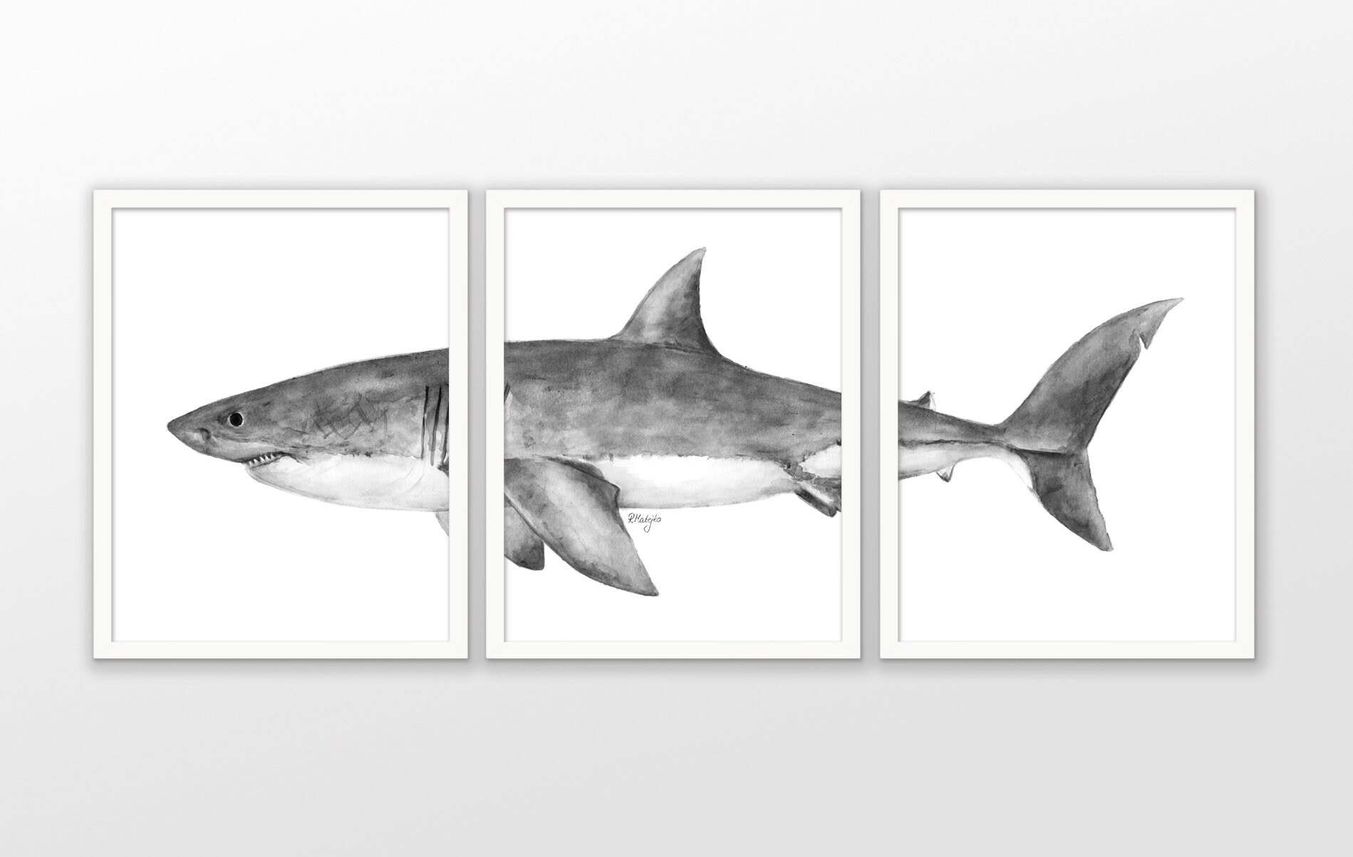 Great White Shark Watercolor Art Print Set of 3 Shark Wall - Etsy