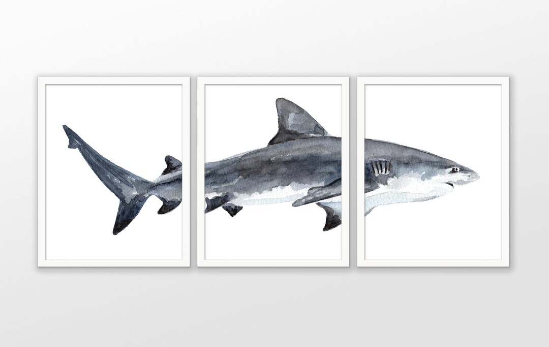 Bull Shark Watercolor Art Print Set of 3, Bull Shark Painting, Bull ...