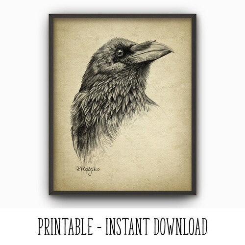 PRINTABLE Raven Art Print Bird Pencil Drawing Wall Art - Etsy