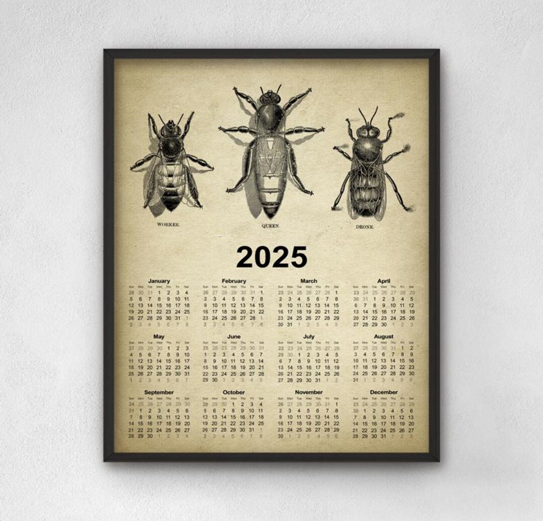 Honey Bee Calendar 2025 2, Queen Bee Drone Worker Vintage Bee Calendar ...