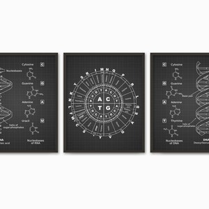 DNA and RNA Genetic Code Print Set of 3 - Genetics Poster - Molecular ...