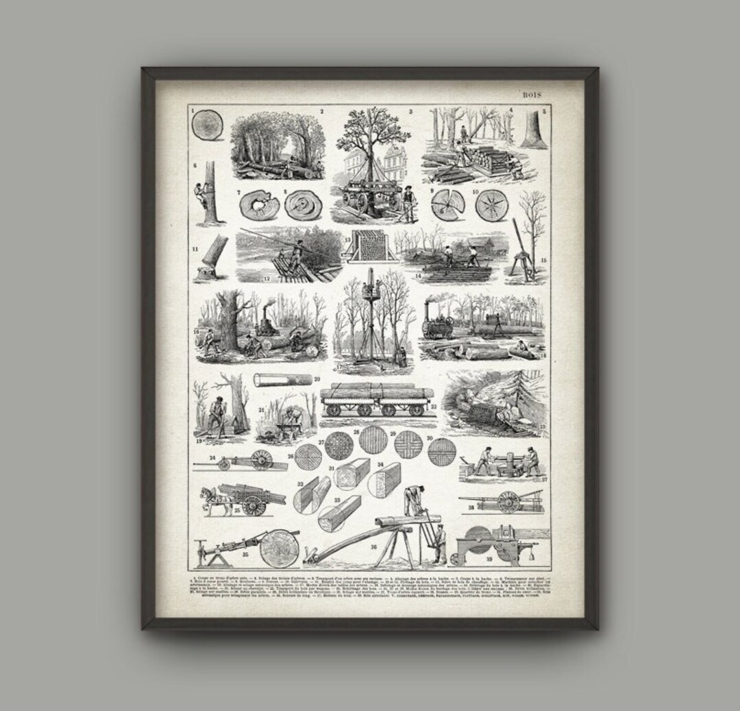Tree Logging Wall Art Print, Forestry Poster, Woodworking Timber Forest ...