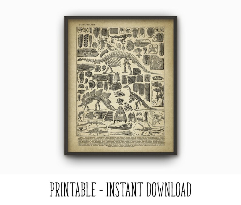PRINTABLE Dinosaur Paleontology Art Print Prehistoric Animals - Etsy UK