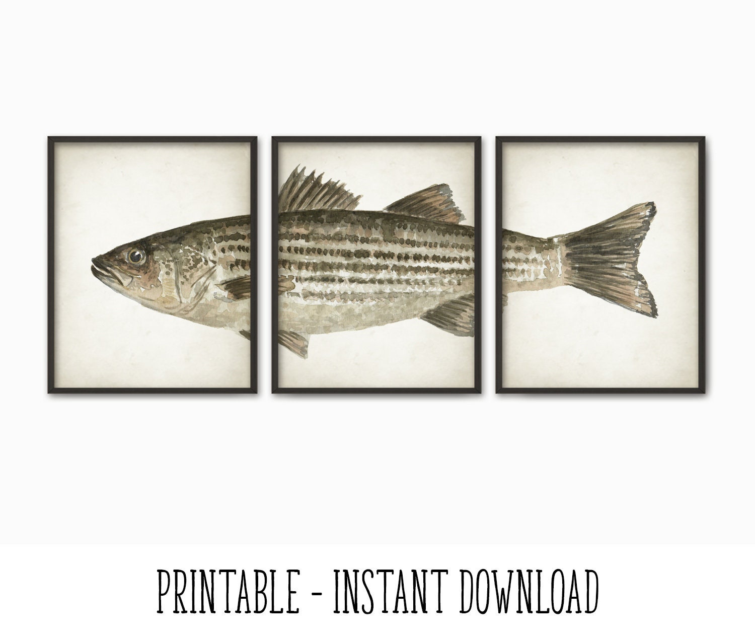 PRINTABLE Striped Bass Fish Watercolor Print Set of 3 North | Etsy