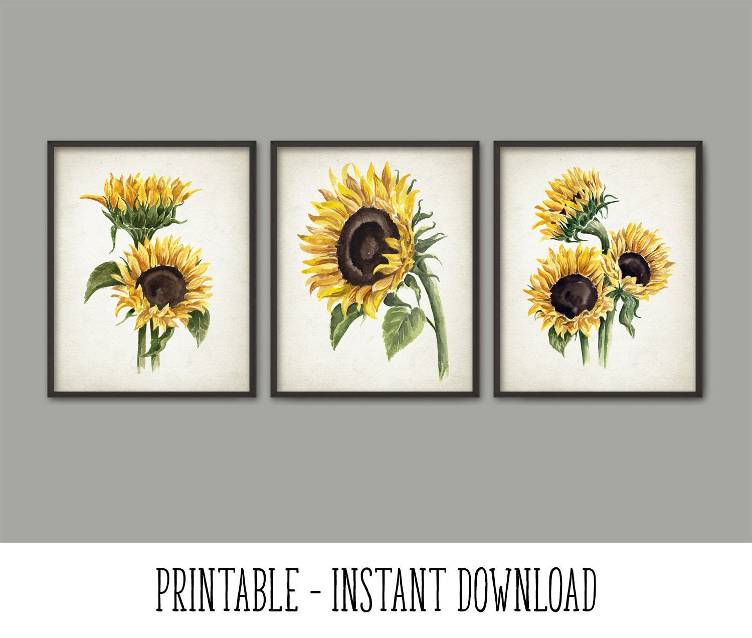 PRINTABLE Set of 3 Watercolor Sunflower Images Botanical - Etsy