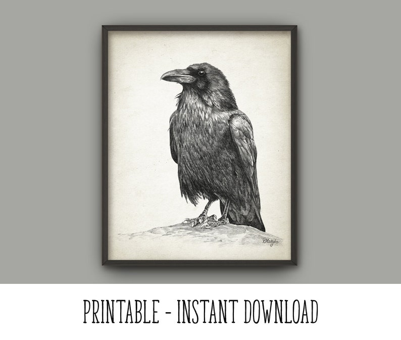 PRINTABLE Raven Print Raven Wall Art Poster Raven Pencil - Etsy