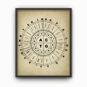 Genetic Code Print, Amino Acids Proteins DNA RNA Base Pairs, Molecular ...