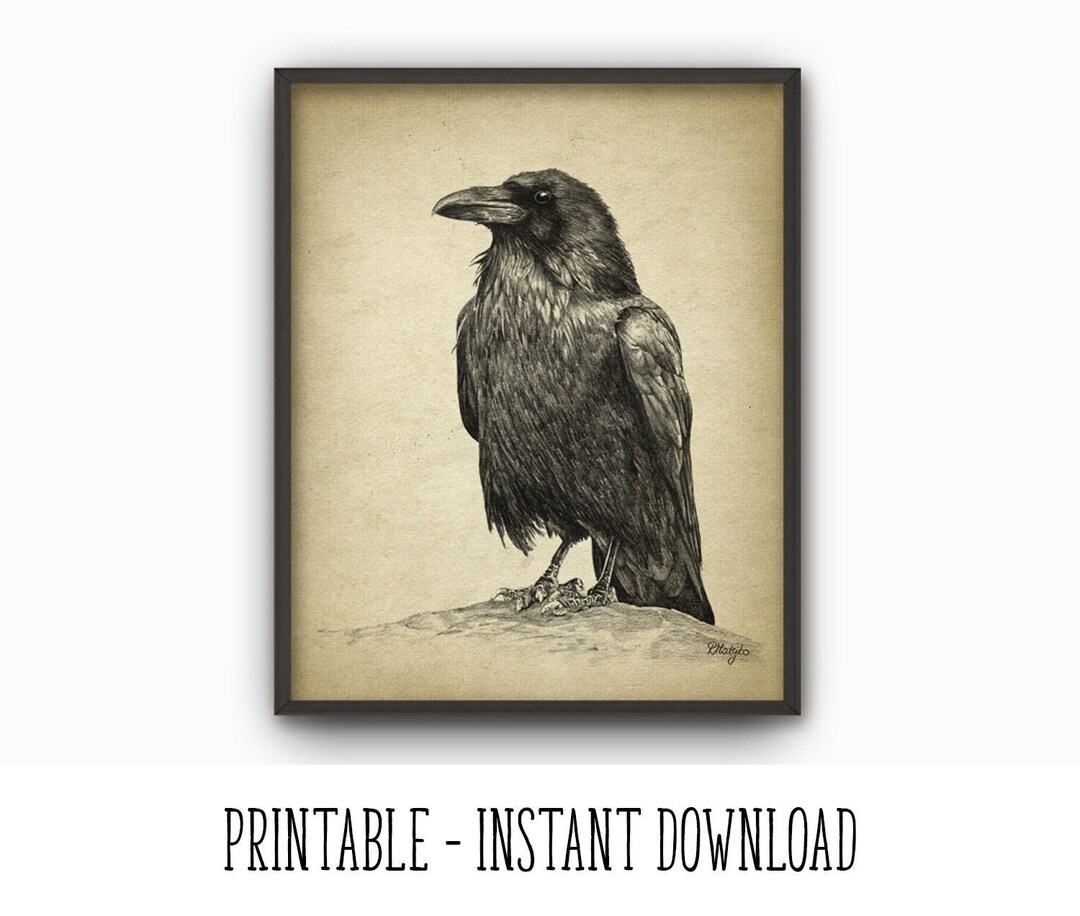 PRINTABLE Raven Print, Raven Wall Art Poster, Raven Pencil Drawing ...