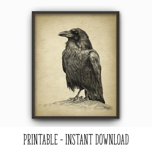 PRINTABLE Raven Art Print Bird Pencil Drawing Wall Art - Etsy
