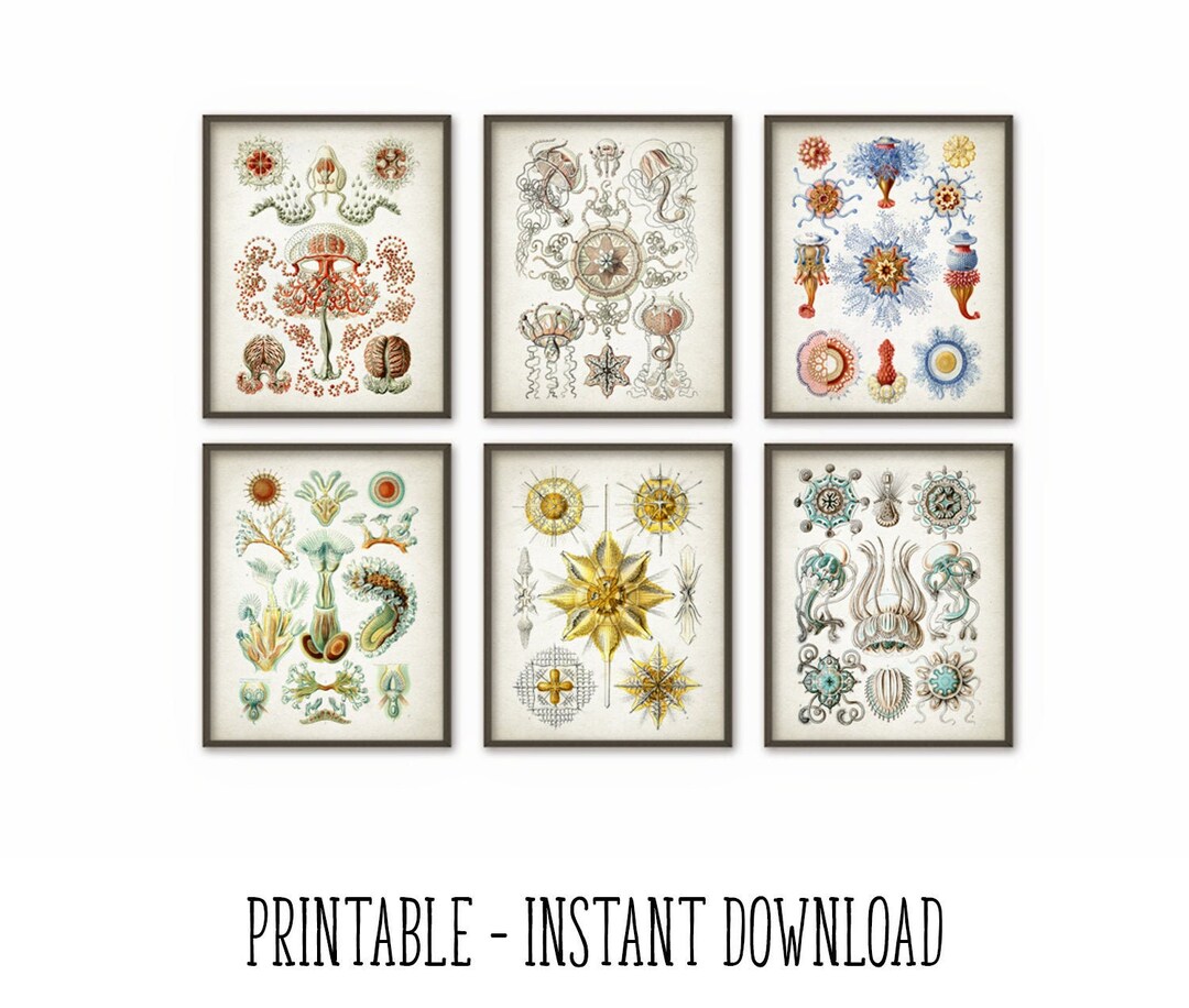 PRINTABLE Haeckel Wall Art Posters Set of 6, Bathroom Decor ...