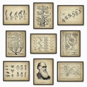 Evolution Wall Art Print Set of 9 Biology Wall Art Charles Darwin DNA ...