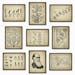 Evolution Wall Art Print Set of 9 Biology Wall Art Charles - Etsy
