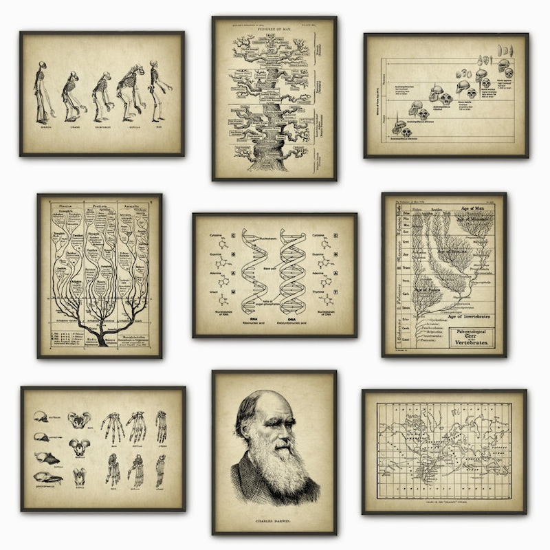 Biology Wall Art - Etsy