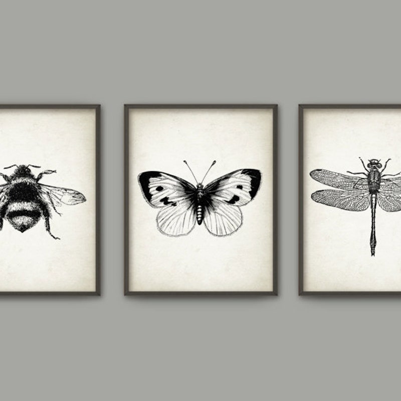 Insect Wall Art - Etsy