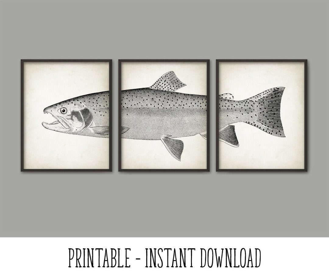 PRINTABLE Rainbow Trout Print Set of 3, North American Game Fish, Trout ...