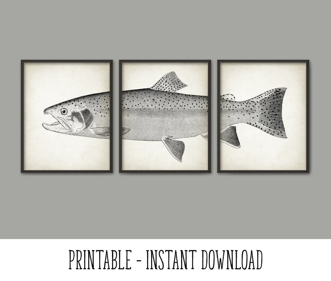 PRINTABLE Rainbow Trout Print Set of 3 North American Game - Etsy UK
