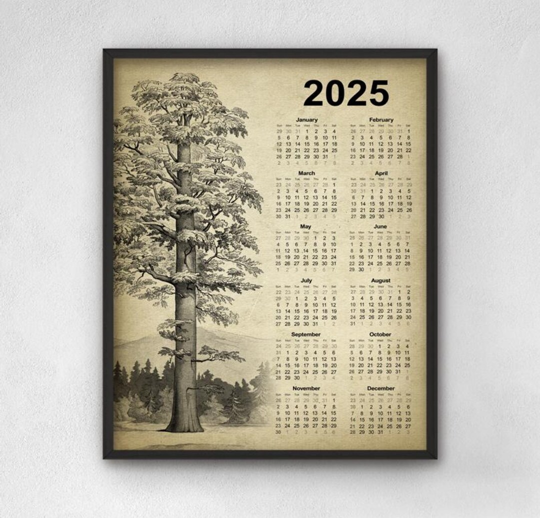 Giant Sequoia Tree Calendar 2025, Vintage Redwood Tree Art Calendar ...