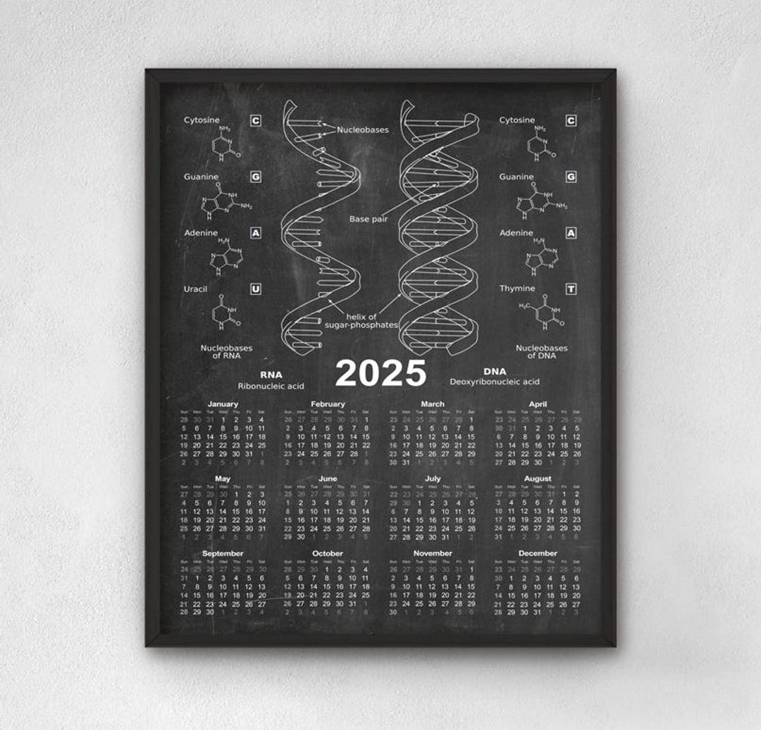 DNA & RNA Calendar 2025, Biochemistry Poster, Biology Genetics Wall Art ...