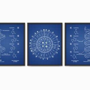 DNA and RNA Genetic Code Print Set of 3 - Genetics Poster - Molecular ...