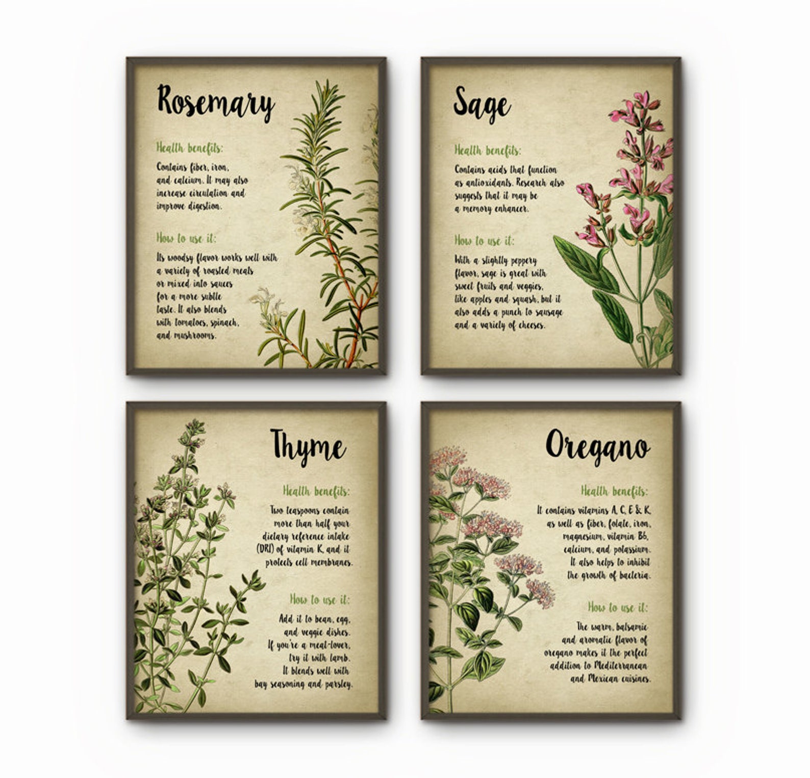 Herbs Kitchen Wall Art Print Set of 4 - Oregano Rosemary Sage Thyme ...