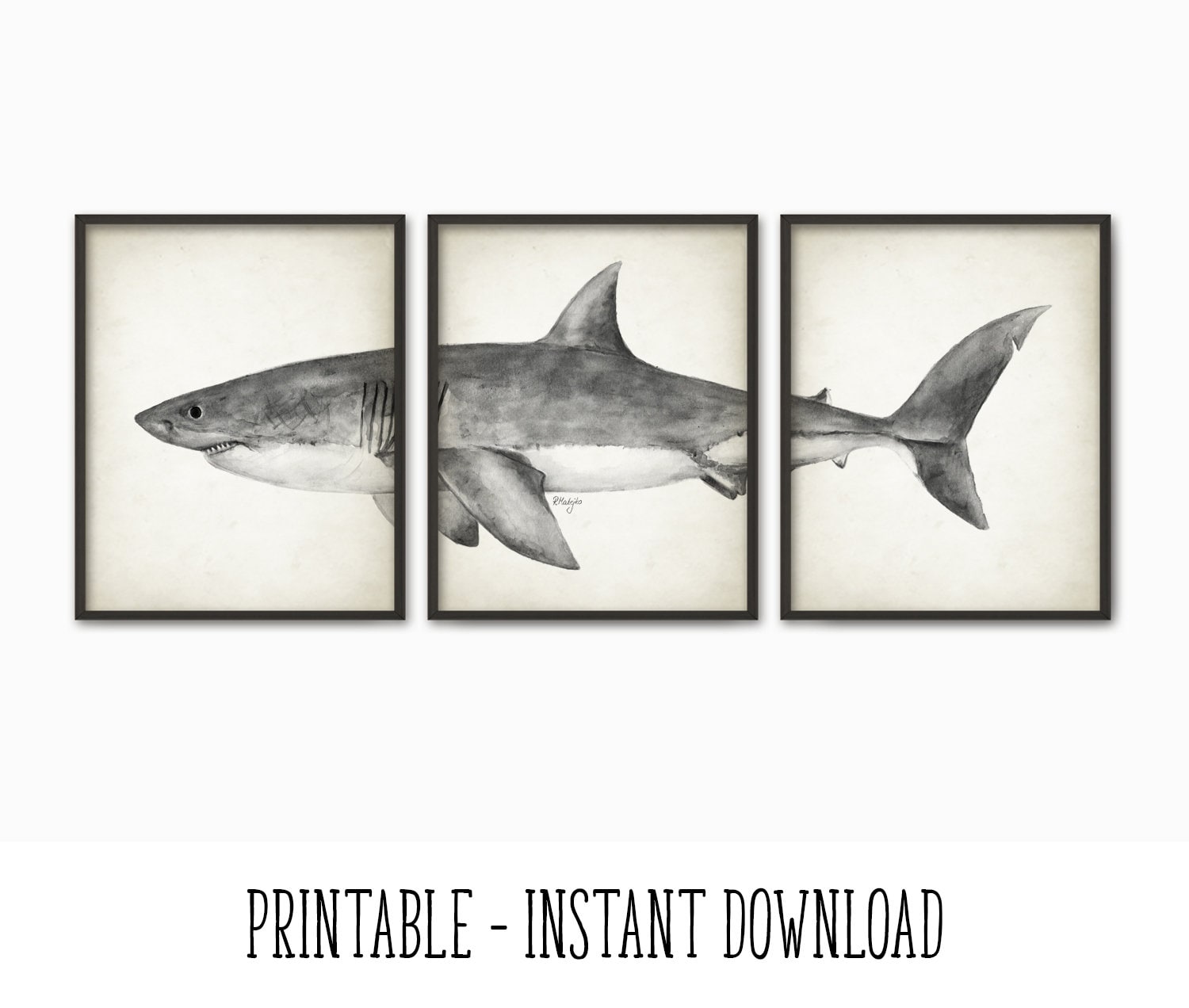 PRINTABLE Great White Shark Watercolor Art Poster Set of 3 - Etsy UK