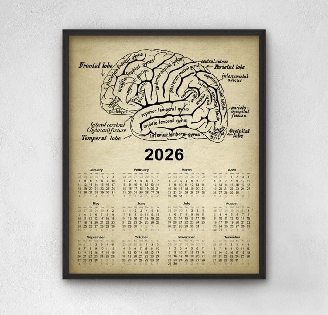 Vintage Brain Chart Calendar 2026, Antique Human Brain Anatomy Wall ...
