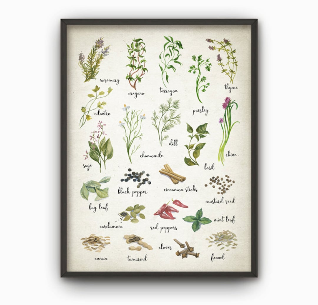 Herbs and Spices Watercolor Kitchen Wall Art Poster - Rustic Kitchen ...