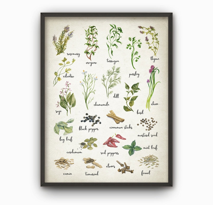 Herbs and Spices Watercolor Kitchen Wall Art Poster - Rustic Kitchen ...