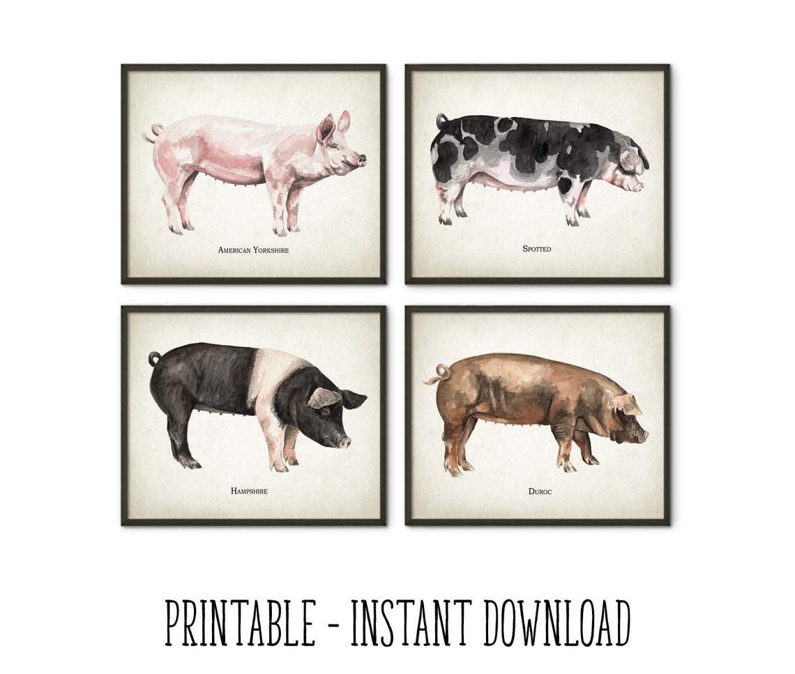 PRINTABLE Farm Pigs Wall Art Print Set of 4 Watercolor Pig - Etsy UK