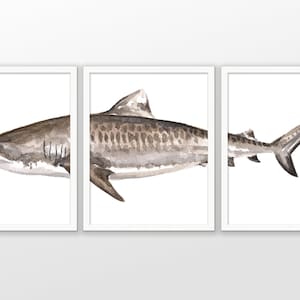PRINTABLE Tiger Shark Watercolor Art Poster Set of 3, Tiger Shark Art ...