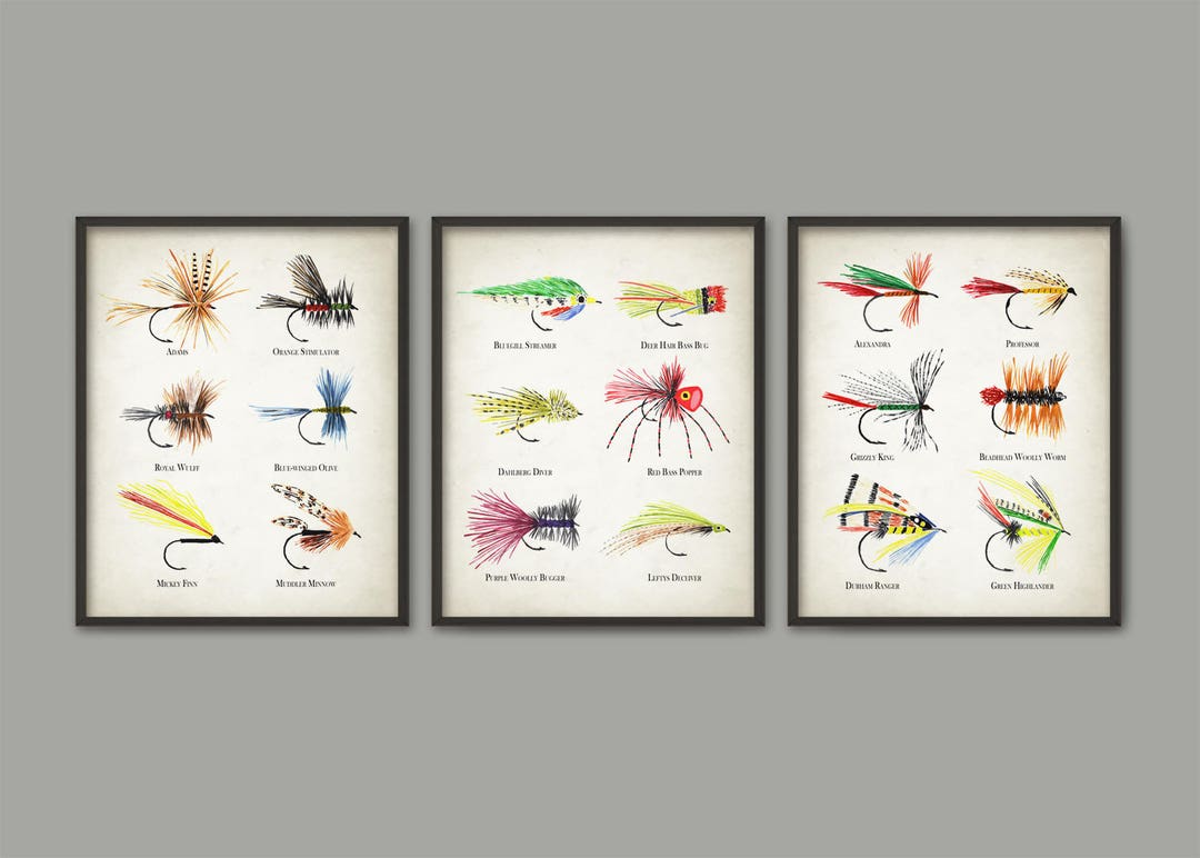 Fly Fishing Lure Wall Art Poster Set of 3, Game Fishing Art, Fly ...