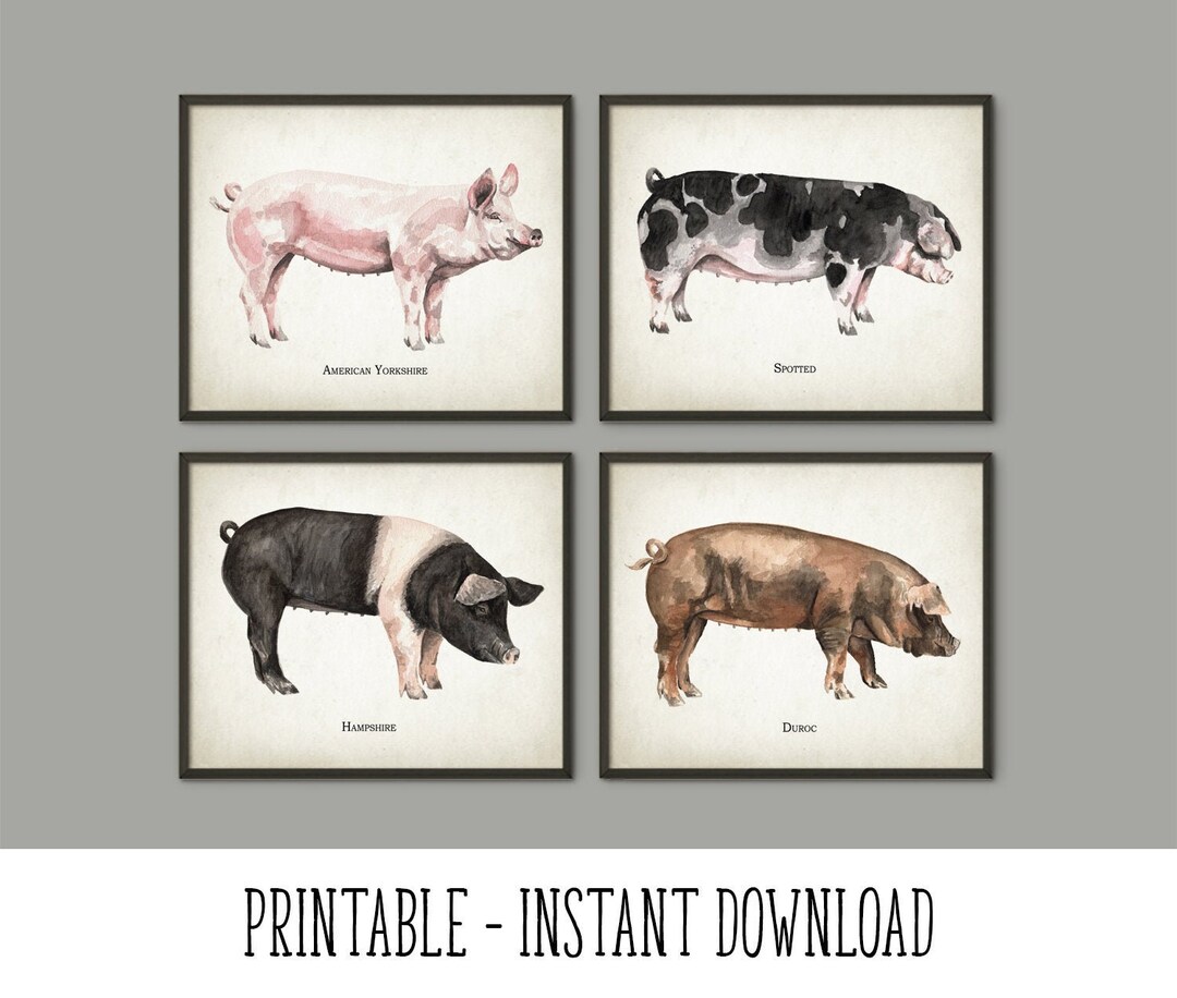 PRINTABLE Farm Pigs Wall Art Print Set of 4, Watercolor Pig American ...