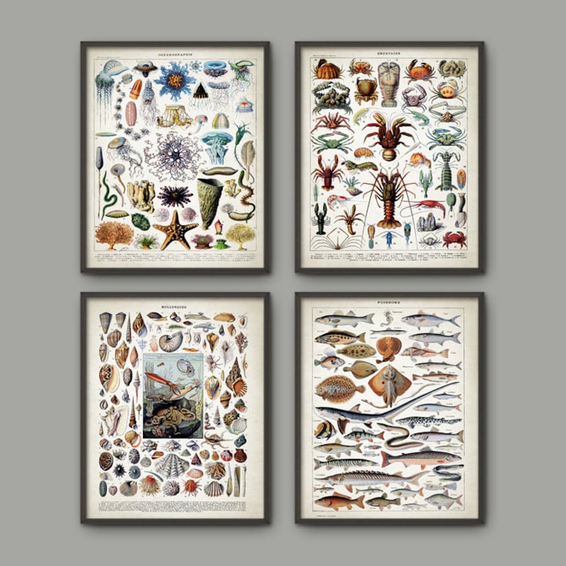 QuantumPrints - Etsy