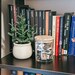 Customizable Mini Book Jar, Mini Book Display, TBR, Tiny Book Jar, Book ...